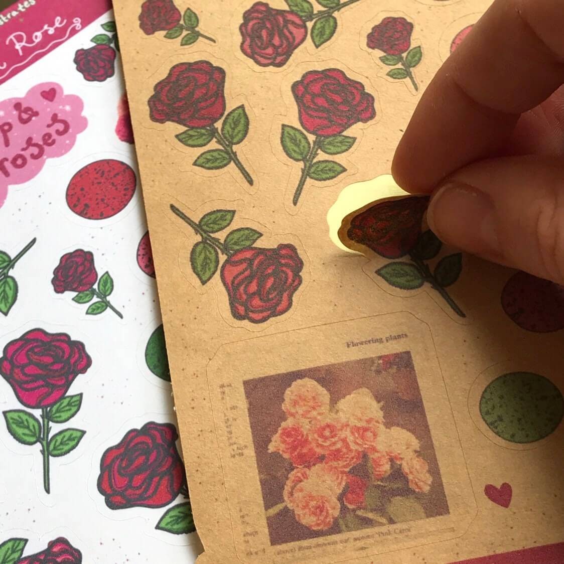 Rose Sticker Sheet | La vie en rose • Kia Creates